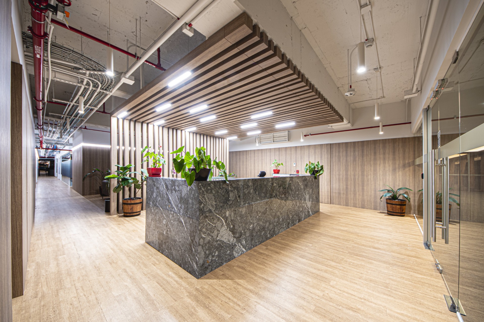 Proyecto Fieldwood Energy - Asociación Mexicana de Interiorismo ...